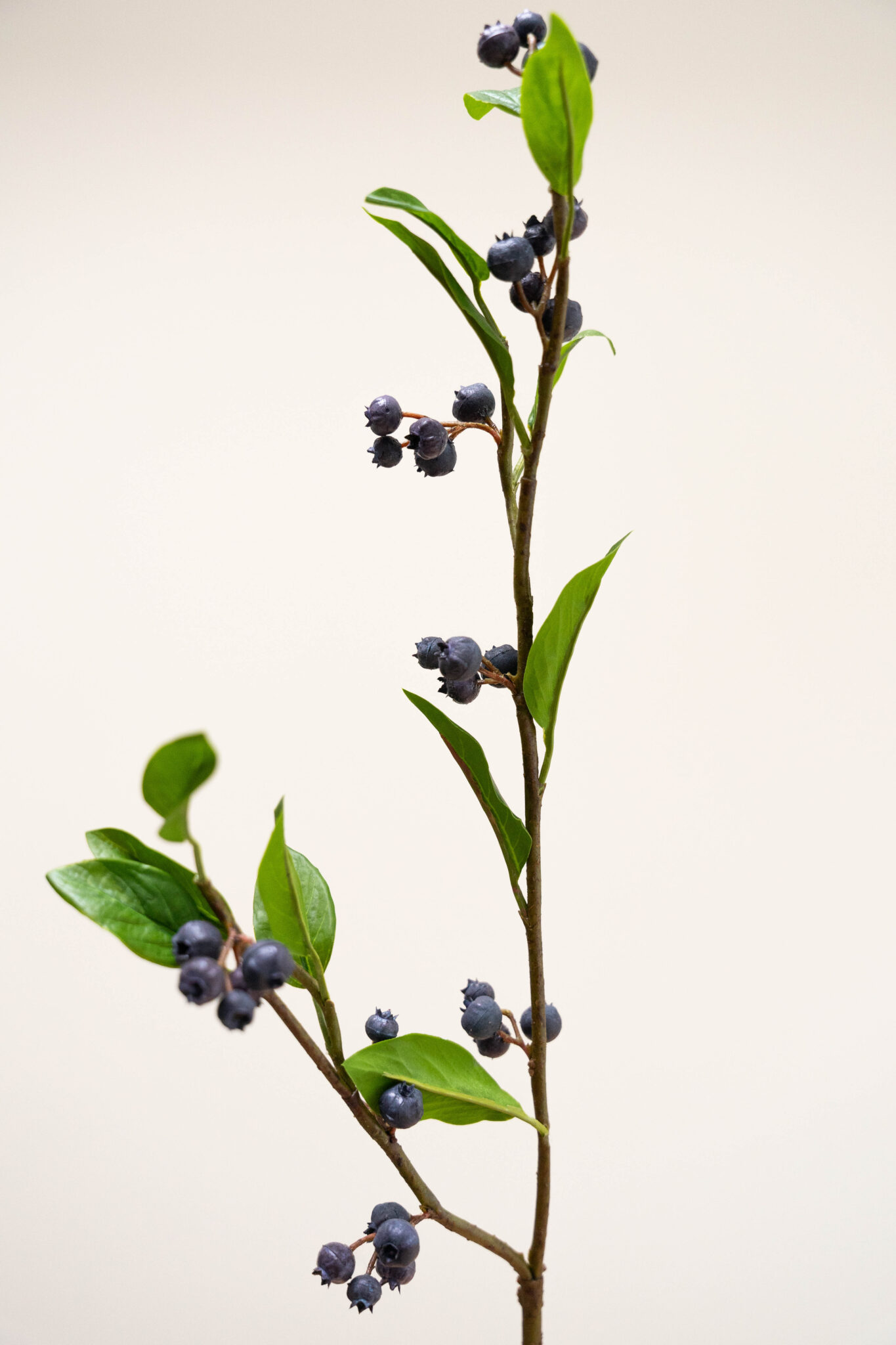 Zijden bloem - Blueberry Stem - De Flower Club
