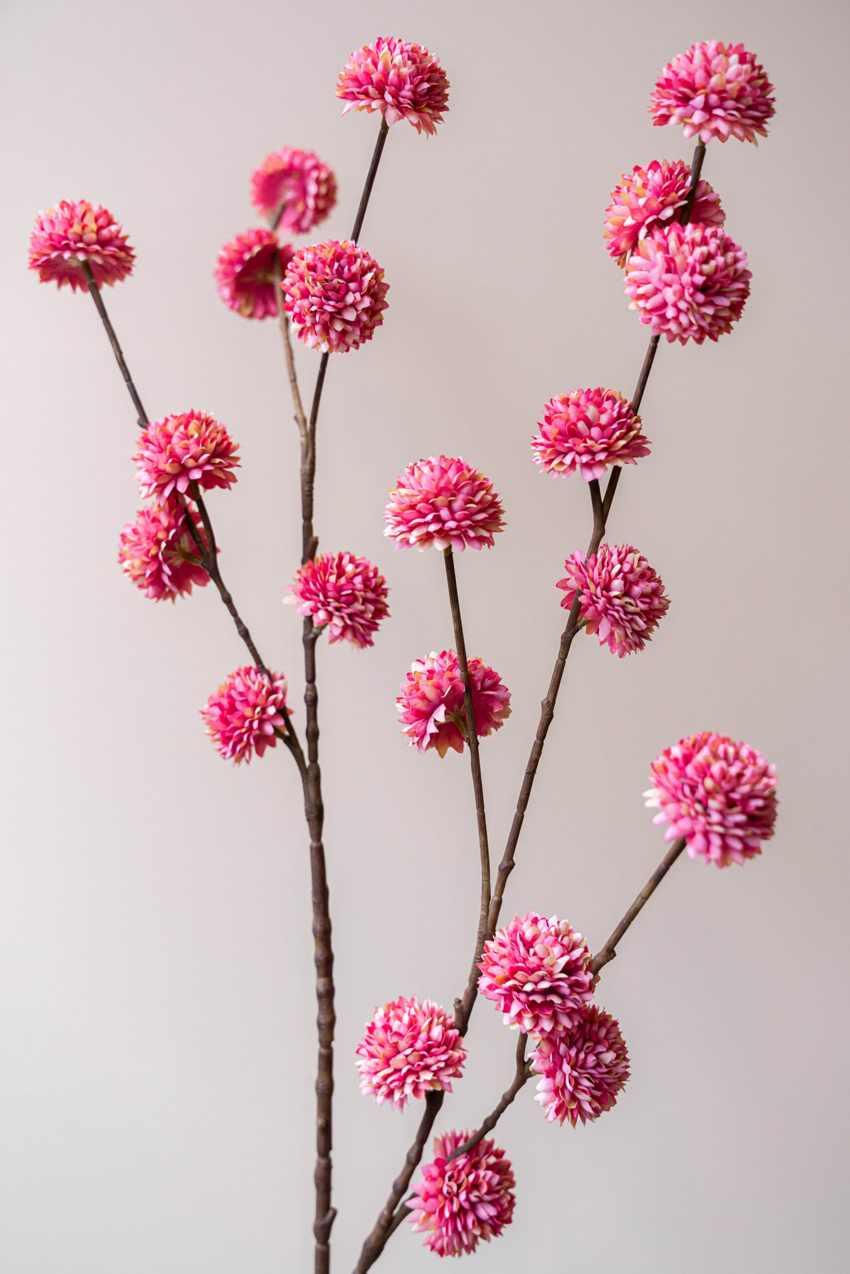 Zijden bloem - Pompon Brench Roze - De Flower Club